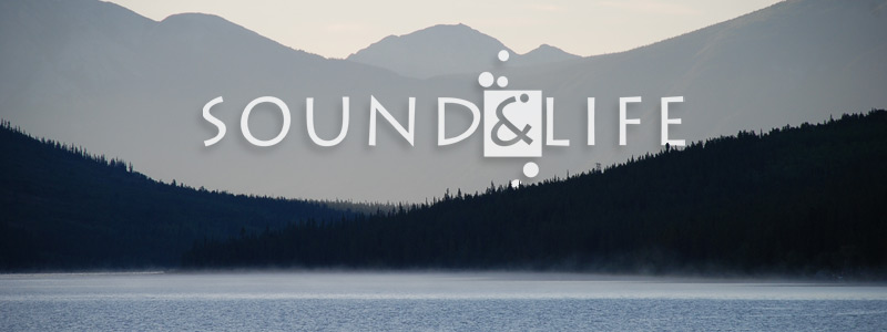 Sonidos Terapéuticos. Terapia con Sonidos. Comprar sonidos